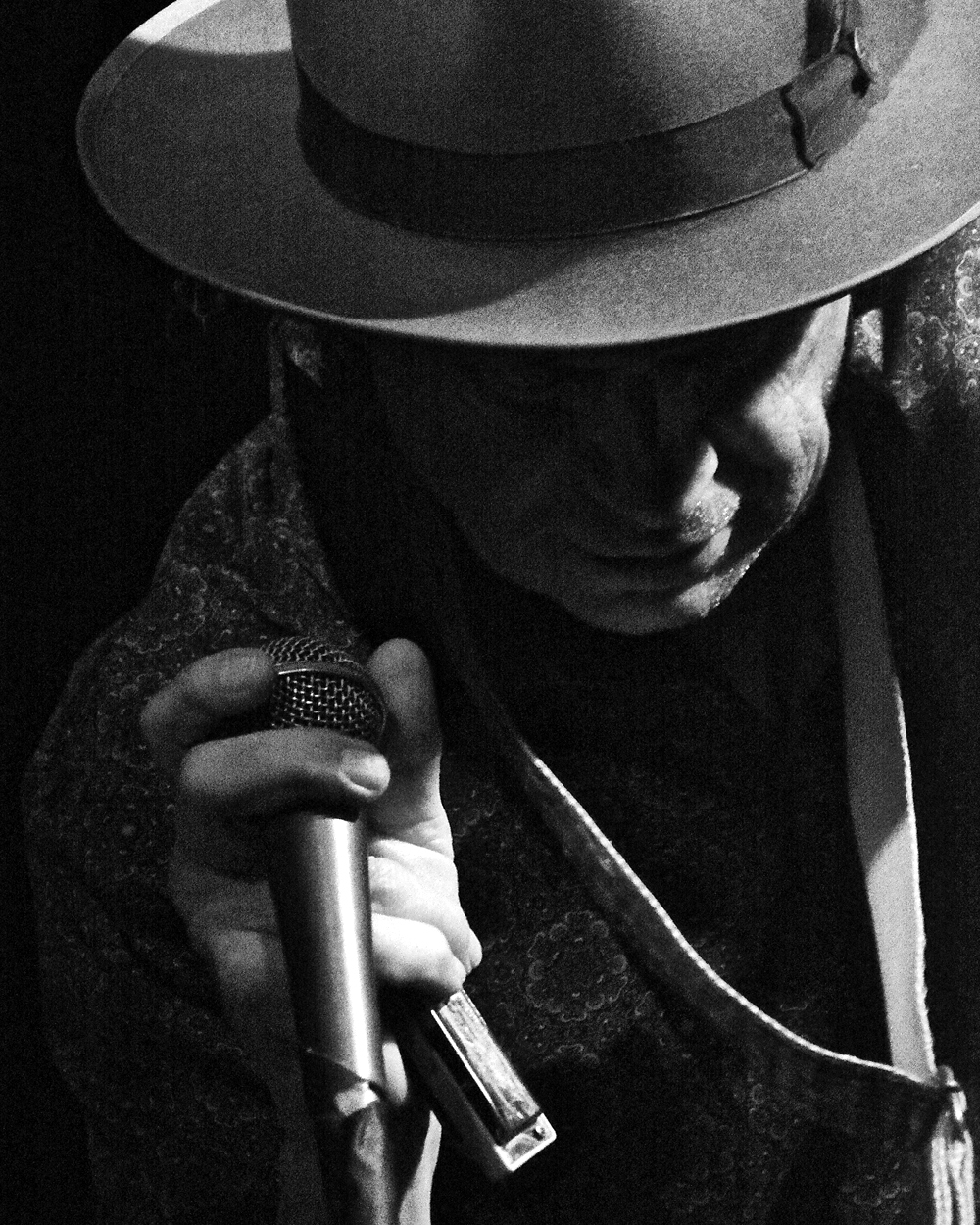 Jimmy Hall : le souffle du sud - ROCK'N FORCE