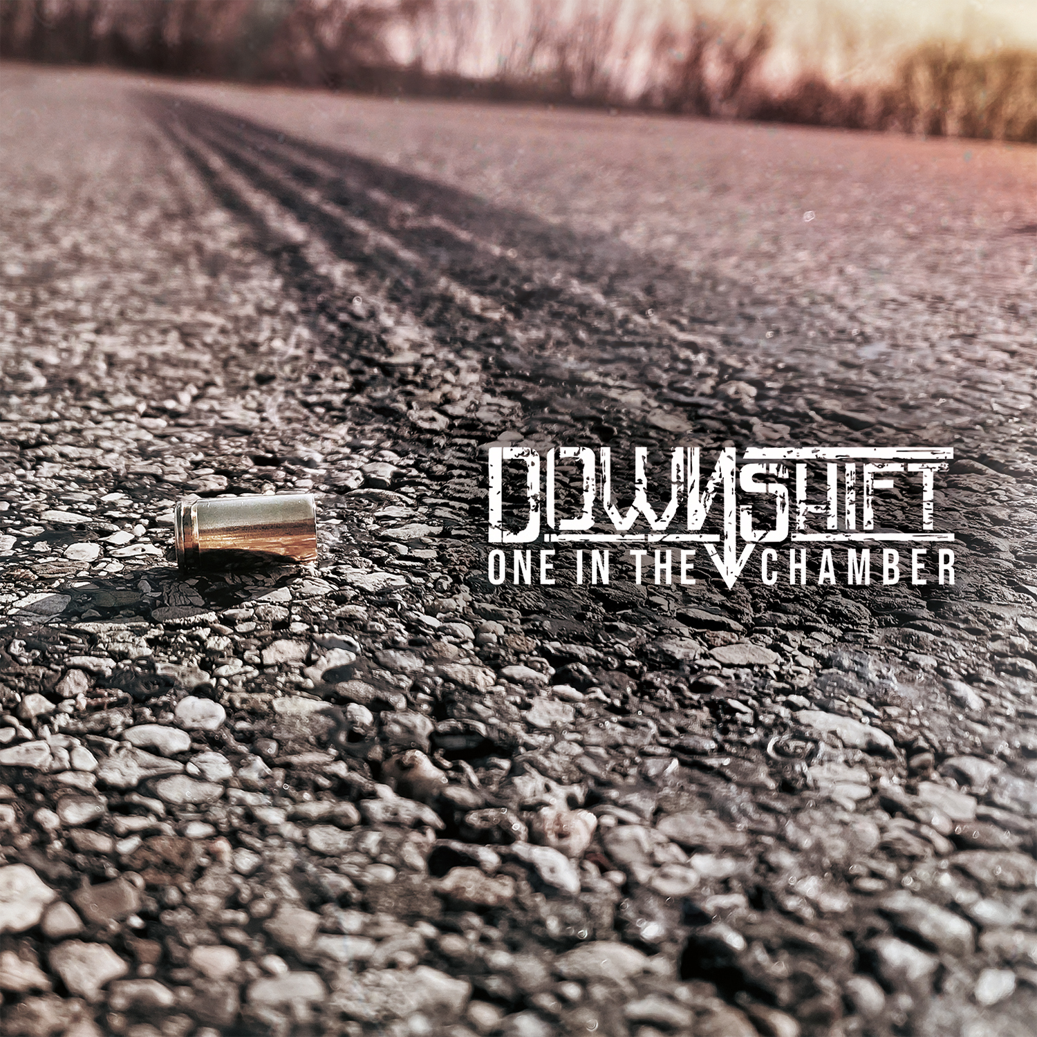 DownShift : explosive sensations [Interview] - ROCK'N FORCE